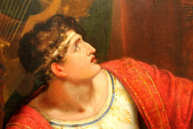 Types of Noses ?? Comparing Shapes & Genetic Information!