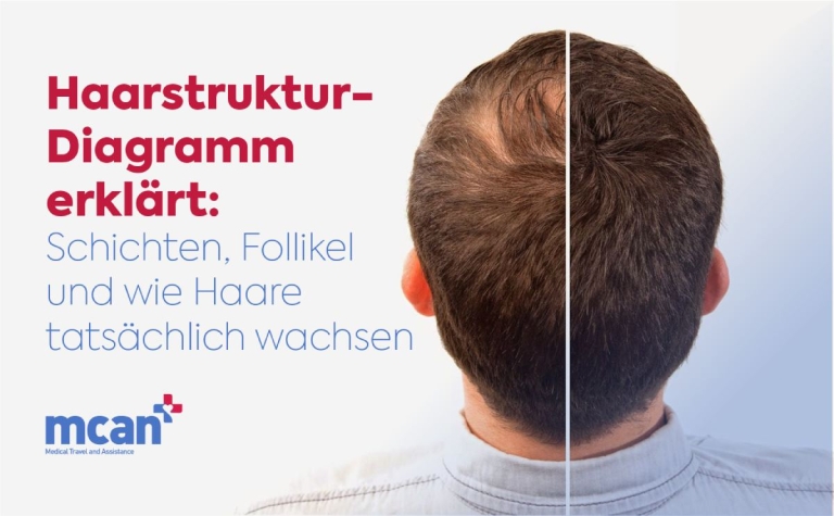 Haarstruktur-Tabelle erklärt: Schichten, Follikel und wie Haare ...